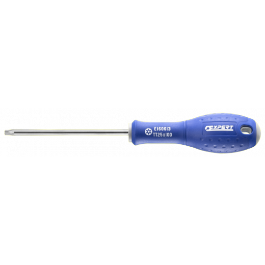 Tournevis primo pour vis resistorx tt 10 E160610 Outillage Marque ...