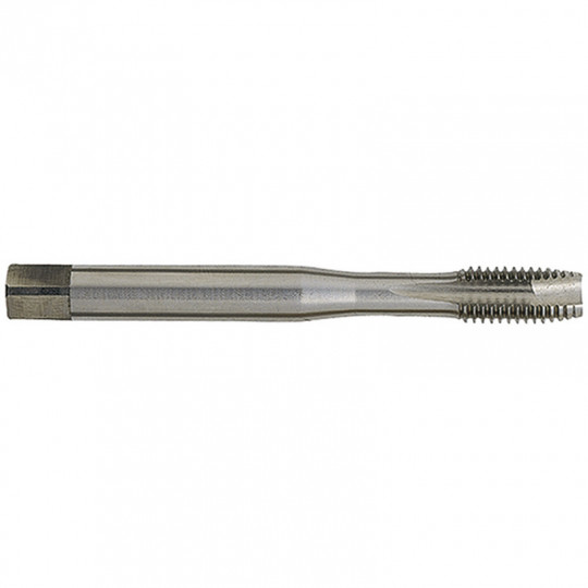 Taraud machine entrée GUN HSS-E (multichoix) - ROEBUCK | 832091